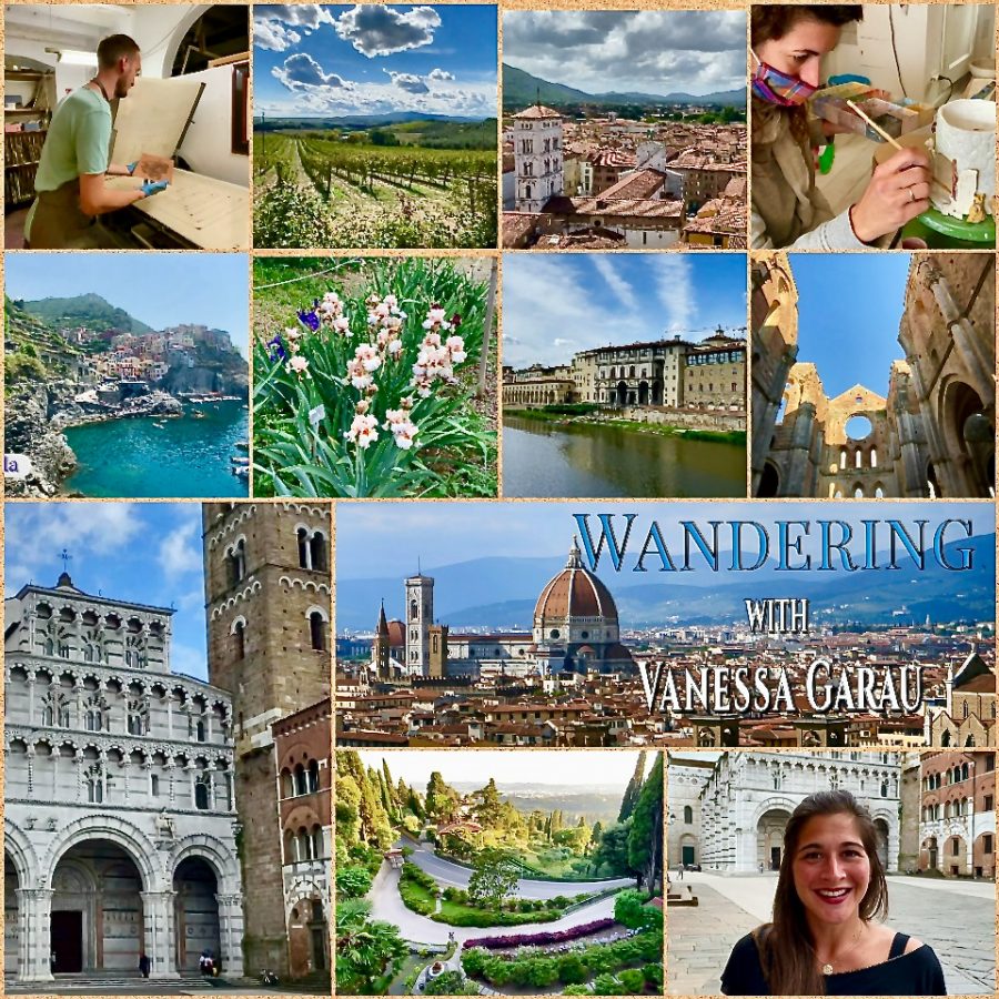 official tour guide in florence art history food and wine tours in italy