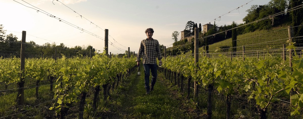 Felix Jermann was born to be wild about wine in Friuli Italy