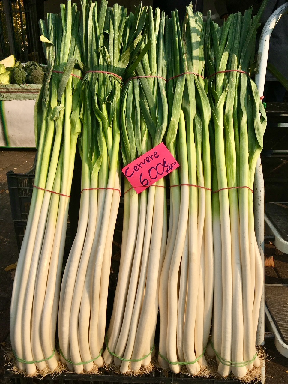 Piedmont Wine Tours: Discover small producers and Barolo in Piemonte