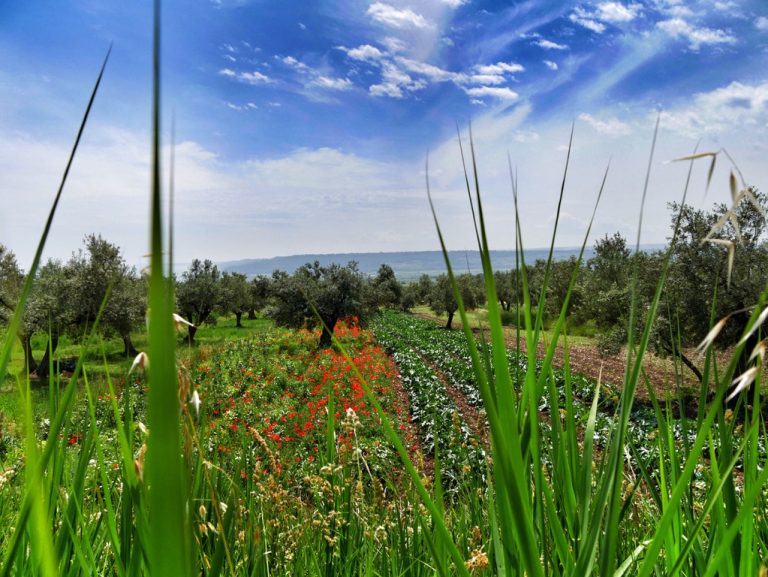 Abruzzo: Italy's Best-Kept Secret - Live in Italy Magazine