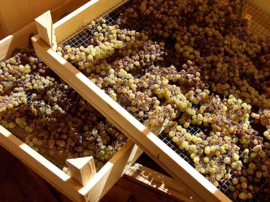 Discover wines from Trentino and Suggested Italian Food Pairings