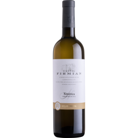 Discover wines from Trentino and Suggested Italian Food Pairings