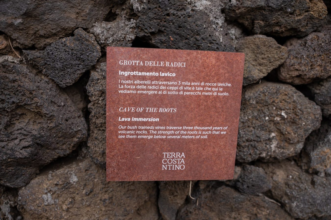 Terra Costantino: Organic Wines, Sustainable Practices Mount Etna