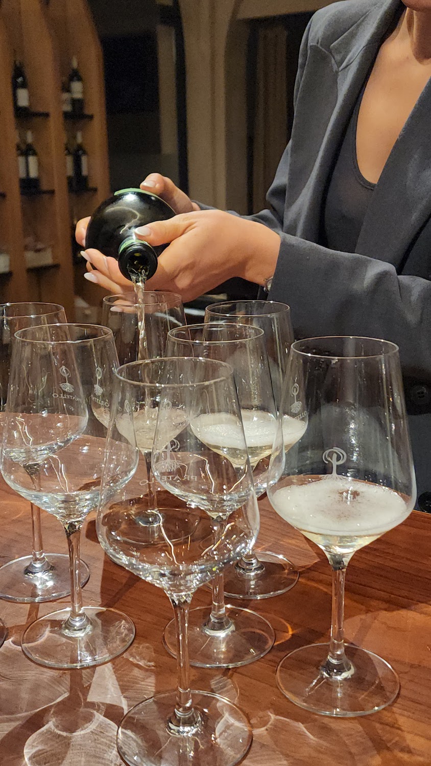 Discover Lugana DOC -- Italy’s Hidden Lake Garda Wine Region