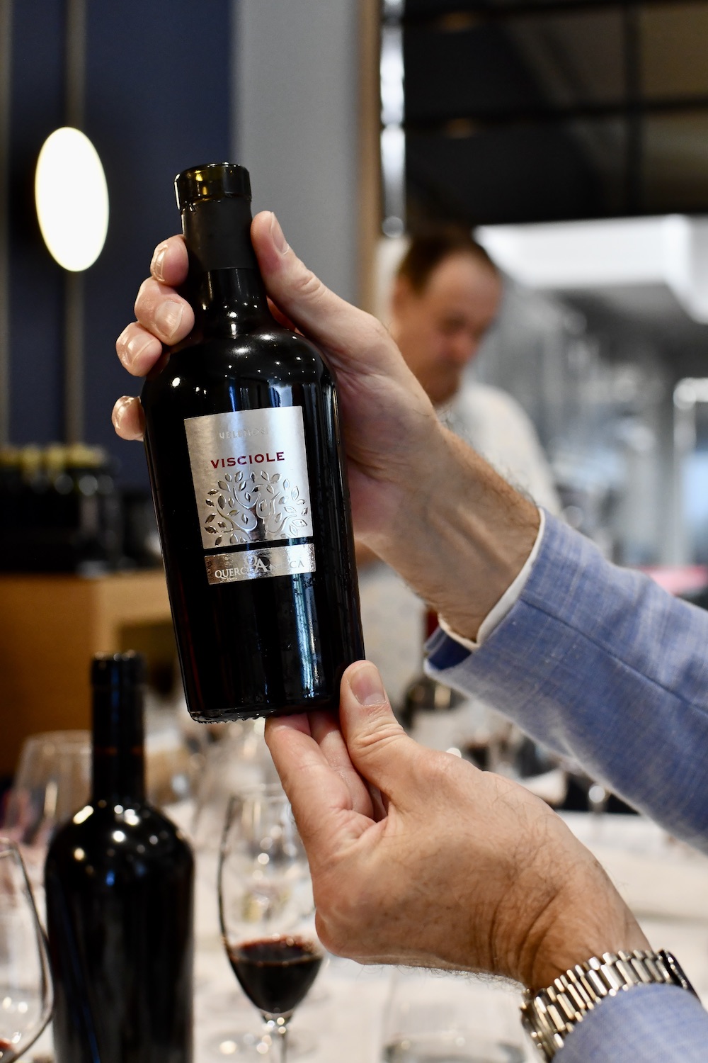 Discover Marche Through Velenosi Winery’s Distinctive Wines