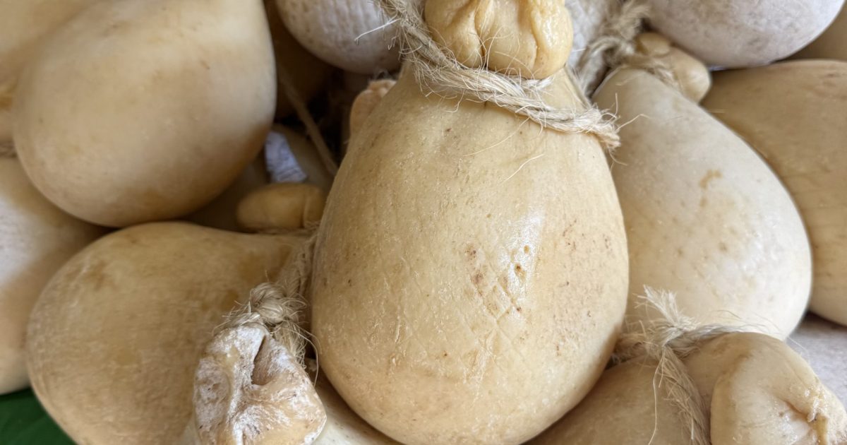 A Day with Slow Food Italy at the 2025 Cheese Festival