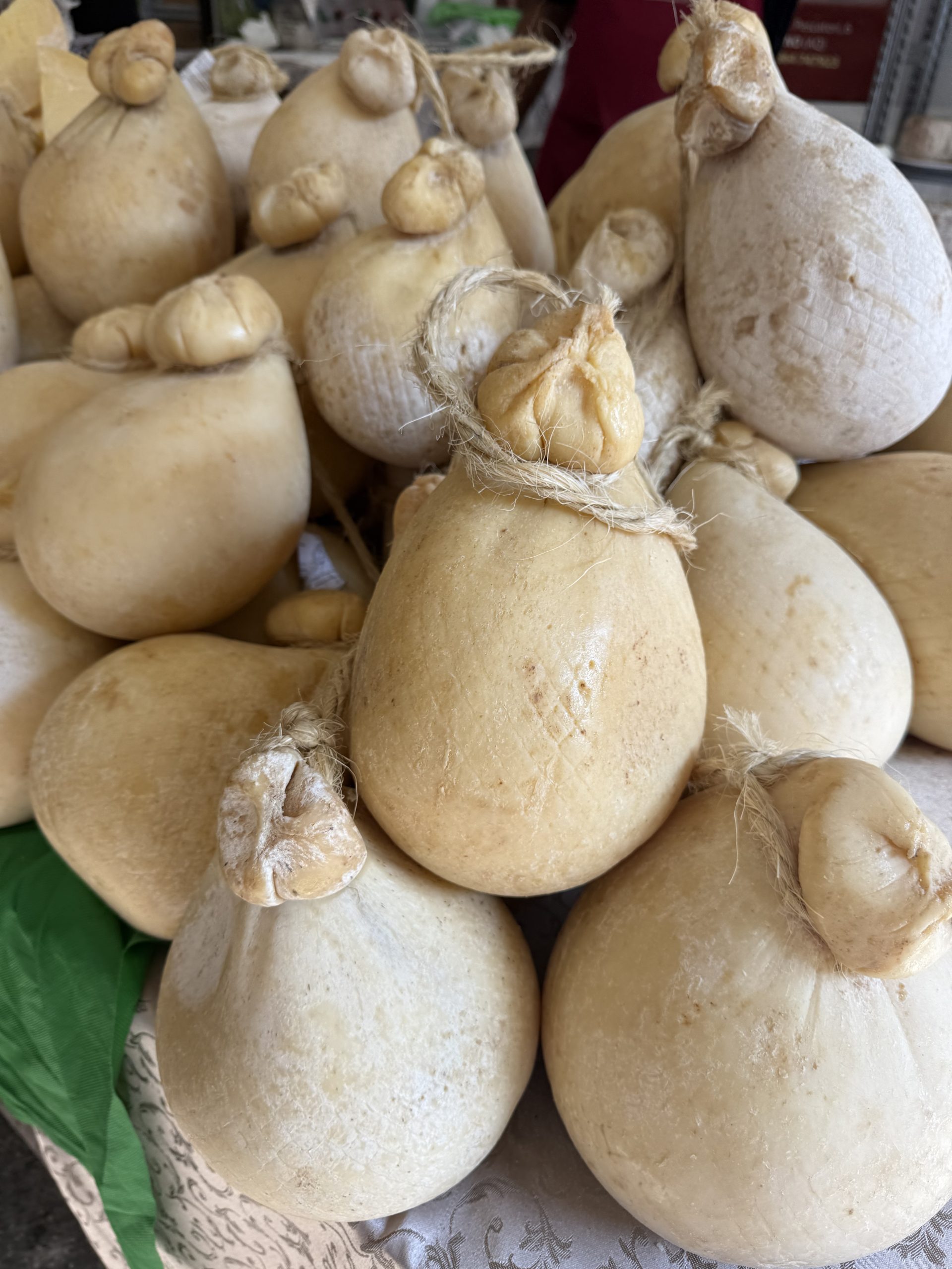 A Day with Slow Food Italy at the 2025 Cheese Festival